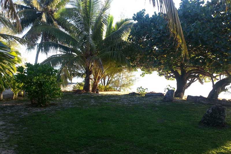 Sunset Palms Garden Bungalow garden - Experience Rarotonga, Cook ...